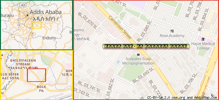 አቢሲንያ ባንክ - ቦሌ መድኃኔዓለም ቅርንጫፍ (Bank) (Addis Ababa, Ethiopia)