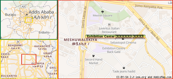 Exhibition Center ኤግዚቢሽን ማዕከል (Business) (Addis Ababa, Ethiopia)